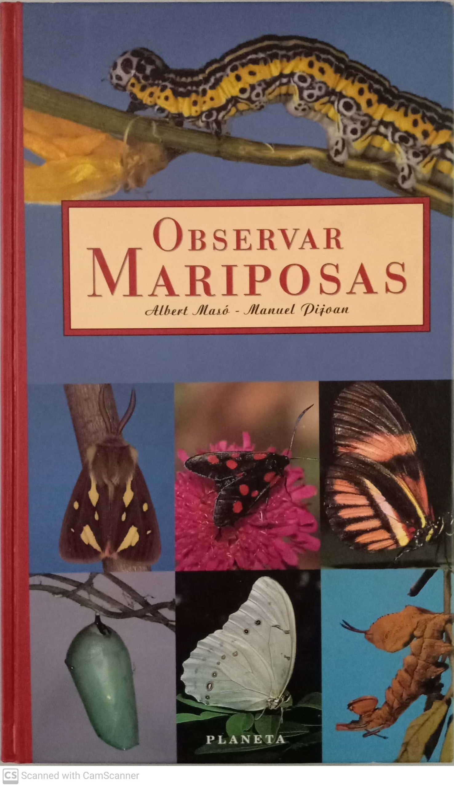 Otros libros recomendados – Mariposas para principiantes